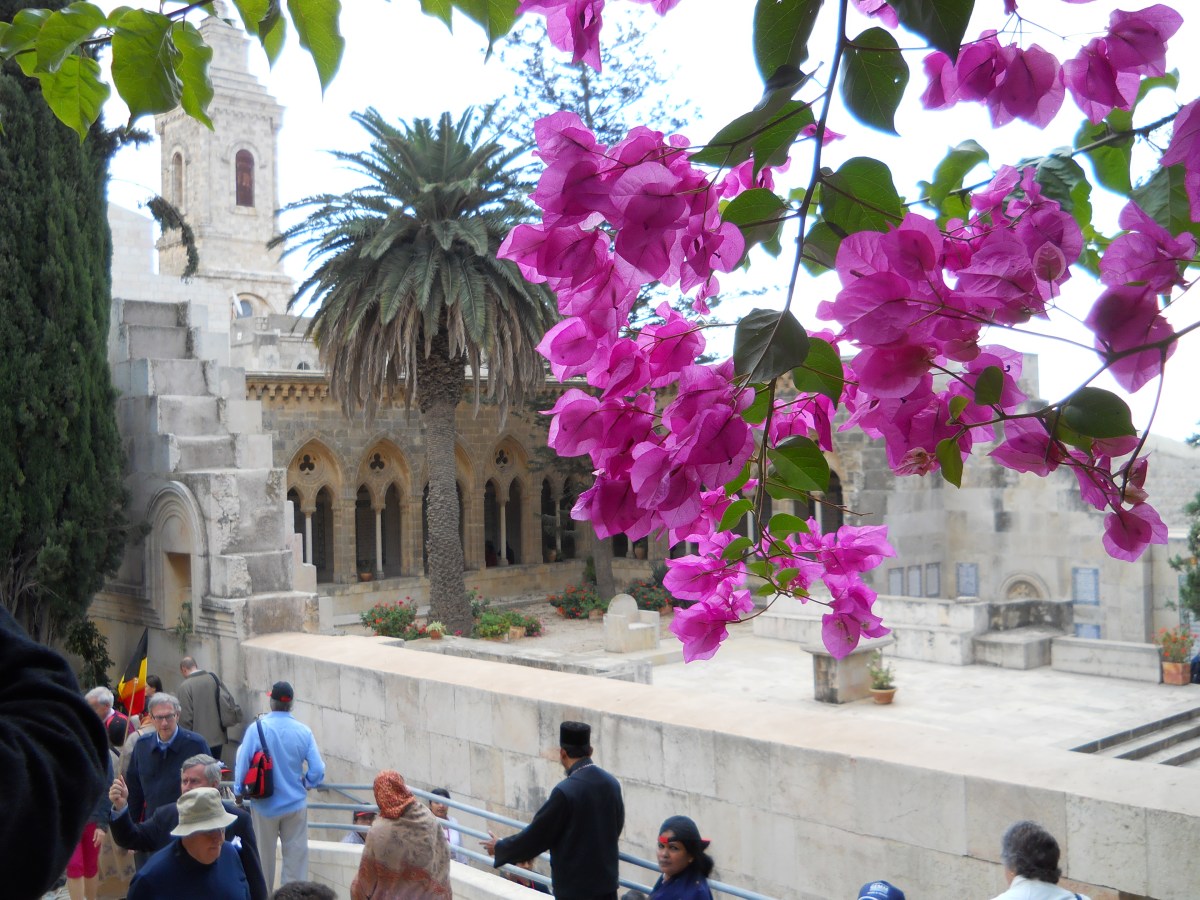 Diane Muir Reflection | sacred heart teddington